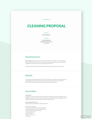 27+ Cleaning Proposal Templates - Word, PDF, Apple Pages, Google Docs