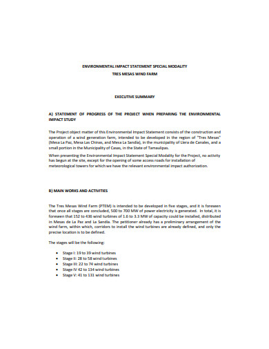 22+ Impact Statement Templates in PDF | DOC