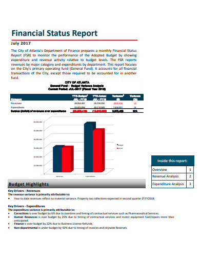 11+ Financial Status Report Templates in PDF | DOC