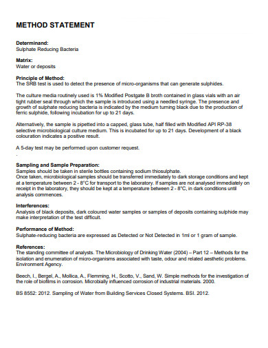 23+ Simple Method Statement Templates - PDF, DOC | Free & Premium Templates