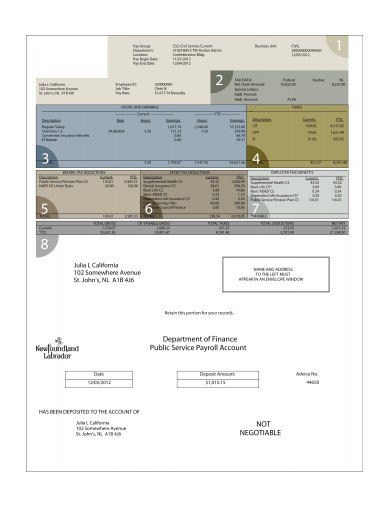 9+ Salary Statement Templates in PDF | DOC | XLS