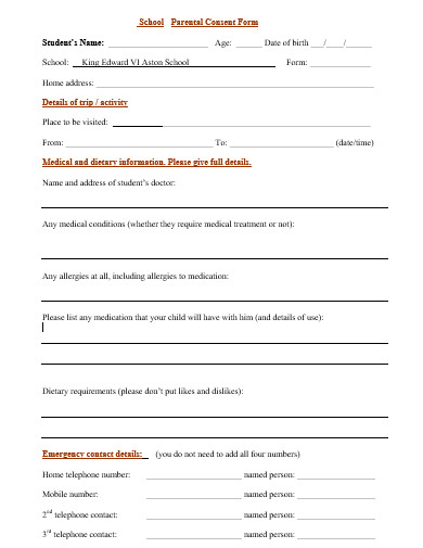 18+ School Consent Form Templates in PDF | DOC