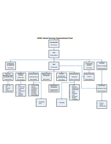 5+ Nursing Organizational Chart Templates in PDF