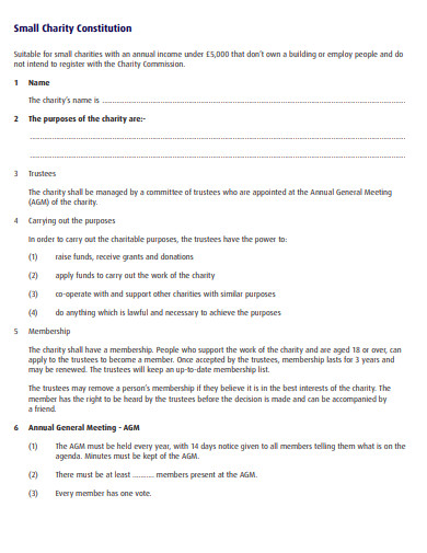8+ Charity Constitution Templates in PDF | DOC