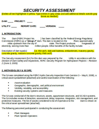FREE 5 Security Assessment Report Templates In Google Docs MS Word Pages PDF Free 