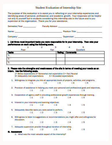 11+ Internship Site Evaluation Form Templates in DOC | PDF