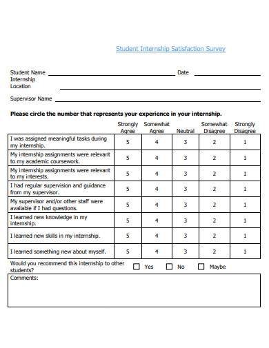 10+ Student Intern Survey Templates in PDF | DOC