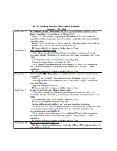 12+ Teacher Observation Checklist Templates in PDF | MS Word
