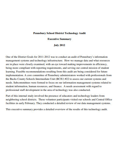 11 Audit Executive Summary Templates In PDF MS Word