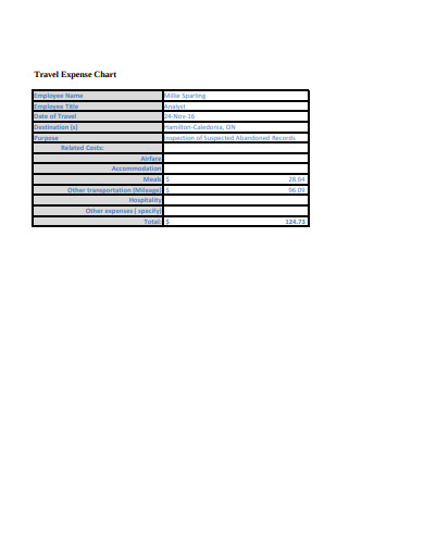 8+ Expense Chart Templates in PDF