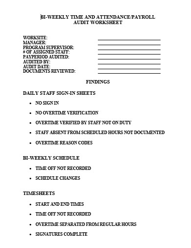 10+ Audit Worksheet Templates in PDF | DOC