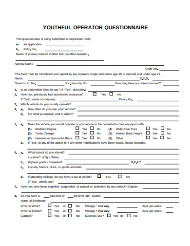 21+ Driver Questionnaire Templates in PDF | DOC | XLS