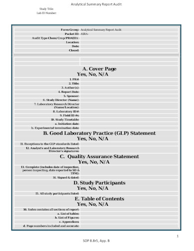 10+ Audit Summary Report Templates in PDF | Word