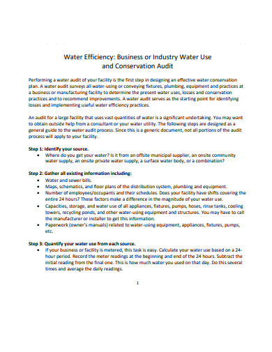 11+ Business Audit Templates in PDF | DOC