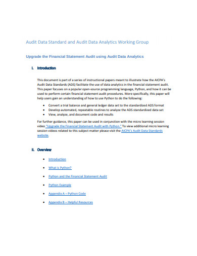 10+ Data Audit Templates in PDF | DOC