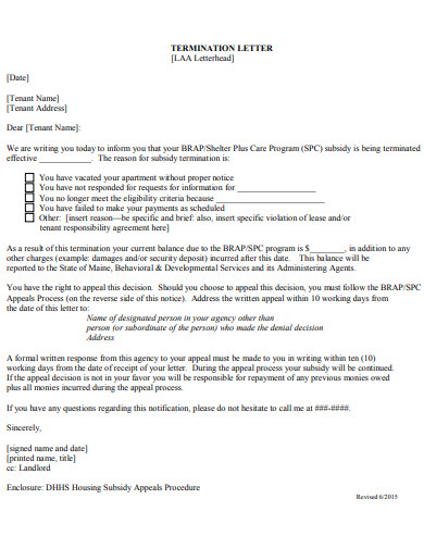 5+ Agency Termination Letter Templates in PDF