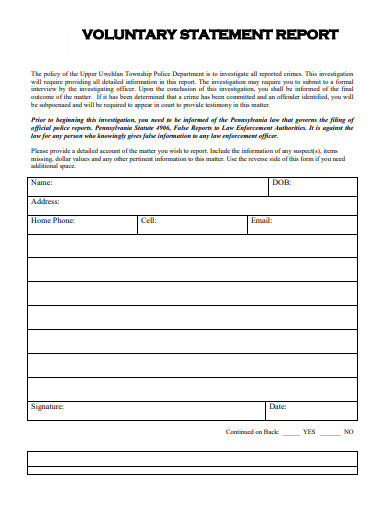 10+ Voluntary Statement Templates in PDF | DOC