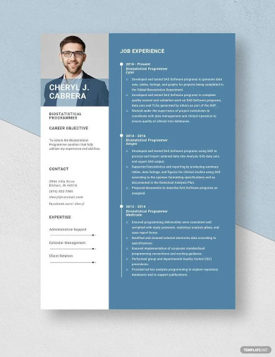 15+ Programmer Resume Templates - DOC, PDF