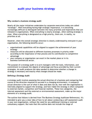 11+ Business Audit Templates in PDF | DOC