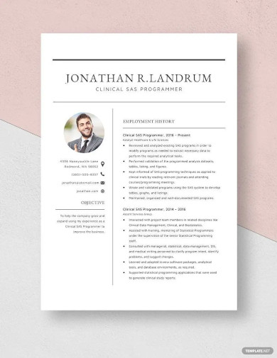 15+ Programmer Resume Templates - DOC, PDF