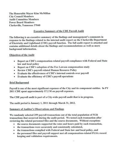 10+ Payroll Audit Report Templates in PDF | DOC
