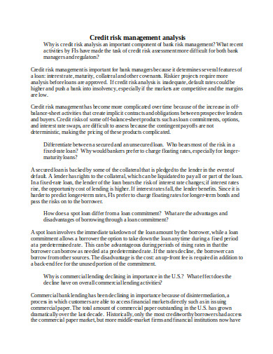 11+ Credit Risk Management Templates in PDF | DOC