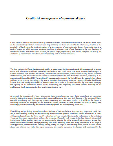 11+ Credit Risk Management Templates in PDF | DOC