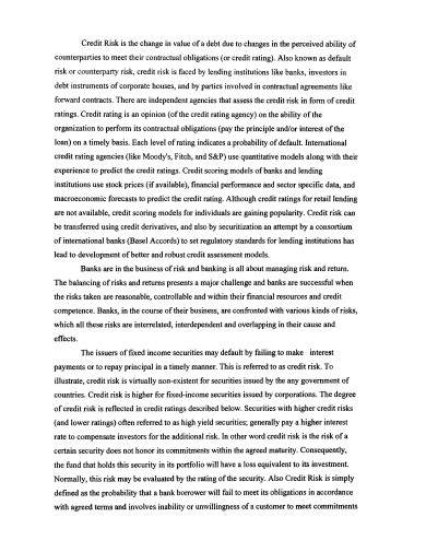 11+ Credit Risk Management Templates in PDF | DOC