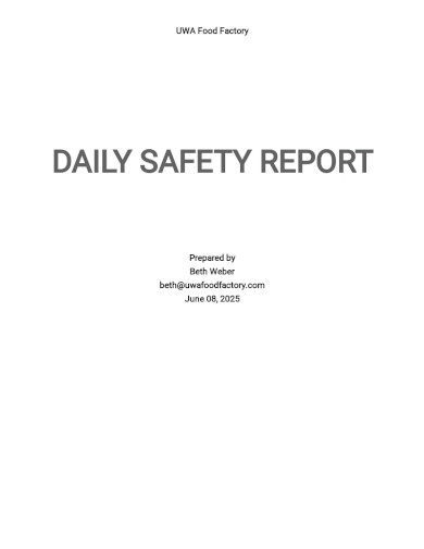 How To Make/Create a Daily Report [Templates + Examples] 2023