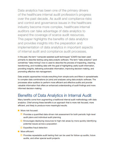 10+ Data Audit Templates in PDF | DOC
