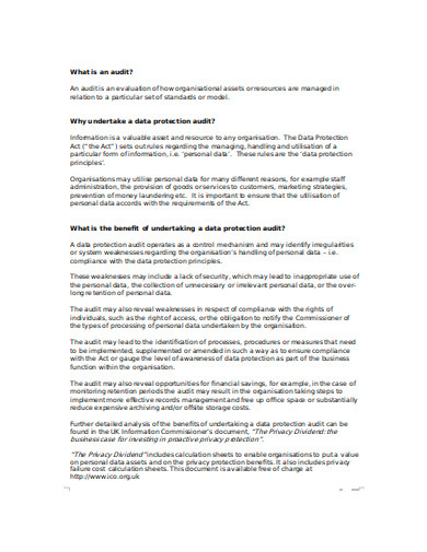 10+ Data Audit Templates in PDF | DOC