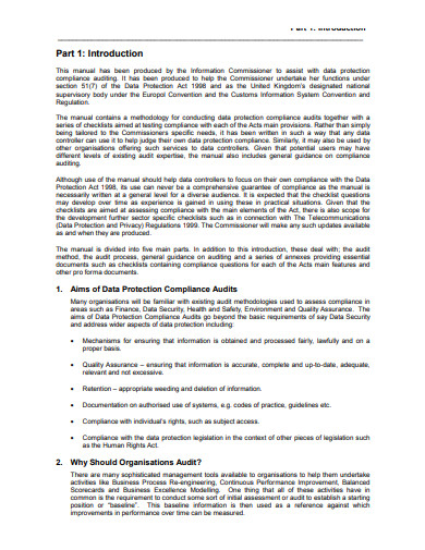 10+ Data Audit Templates in PDF | DOC