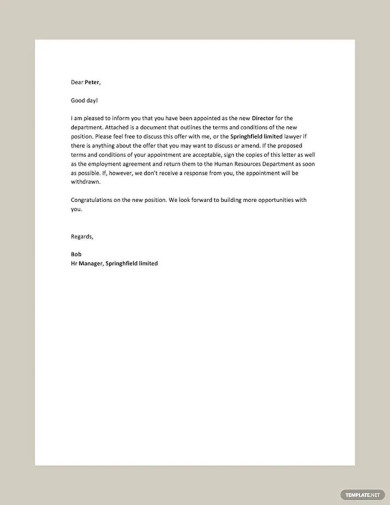 53+ Appointment Letter Template Examples
