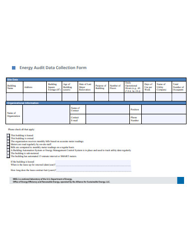 10+ Data Audit Templates in PDF | DOC