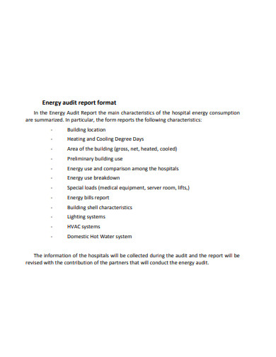 11+ Energy Audit Report Templates in Google Docs | Word | Pages | Excel ...