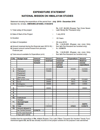 10+ Expenditure Statement Templates in Google Docs | Word | Pages | PDF ...