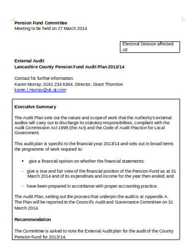 10+ External Audit Plan Templates in PDF | DOC