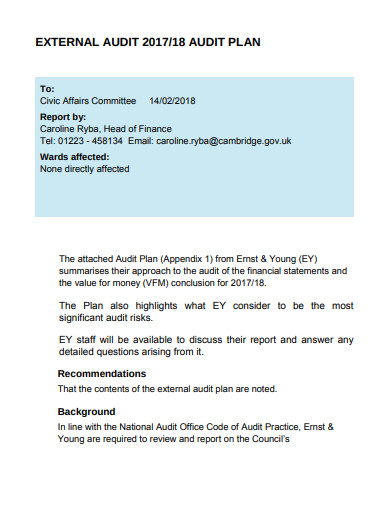10+ External Audit Plan Templates in PDF | DOC