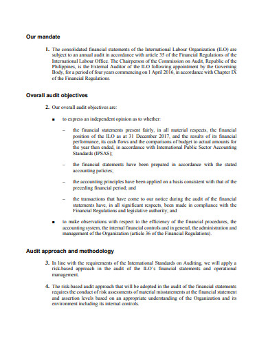10+ External Audit Plan Templates in PDF | DOC