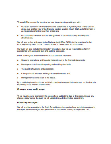10+ External Audit Plan Templates in PDF | DOC