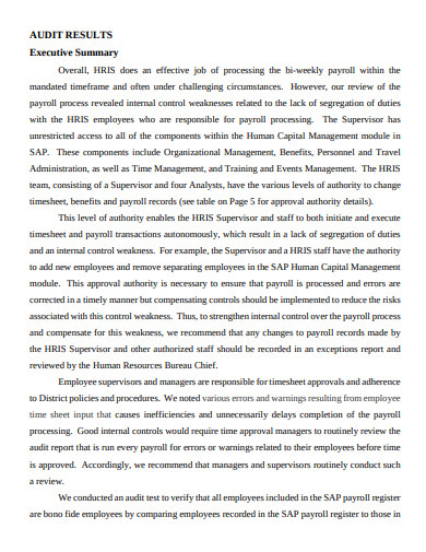 10+ Payroll Audit Report Templates in PDF | DOC