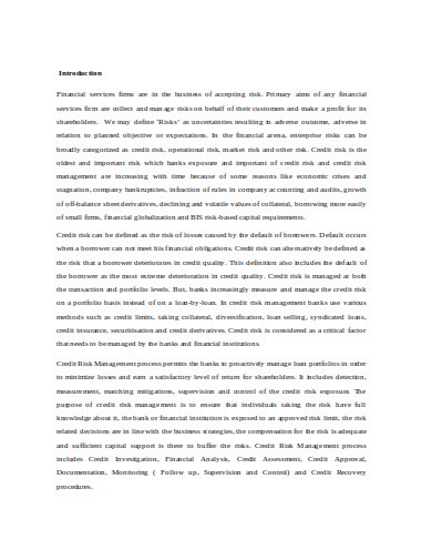 11+ Credit Risk Management Templates in PDF | DOC