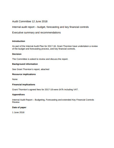 11+ Internal Audit Budget Templates in PDF | DOC