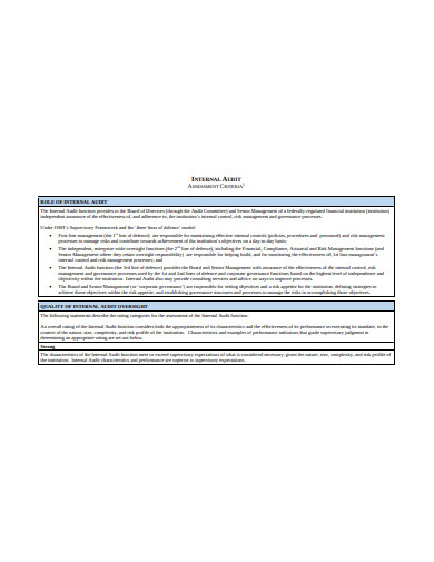 10+ Internal Audit Risk Assessment Templates in DOC | PDF