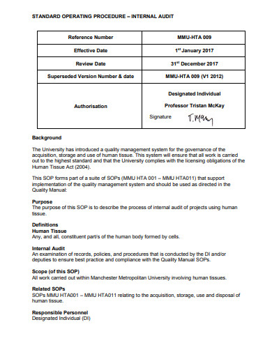 Internal Audit Procedure - 11+ Free Templates in PDF, WORD | Free ...