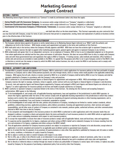 5+ Marketing Agency Contract Templates in PDF