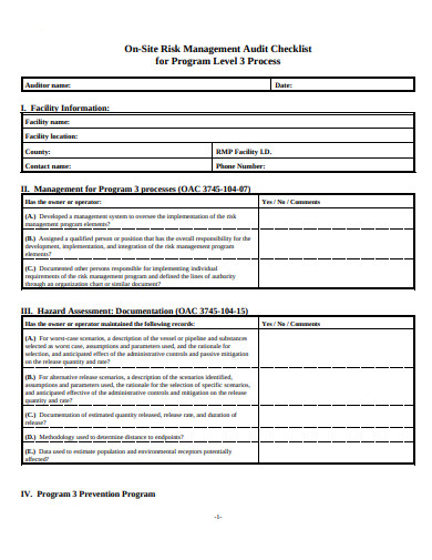 5+ Risk Management Audit Checklist Templates in PDF | DOC