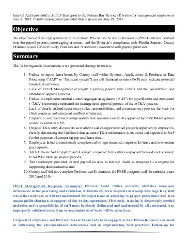 10+ Payroll Audit Report Templates in PDF | DOC