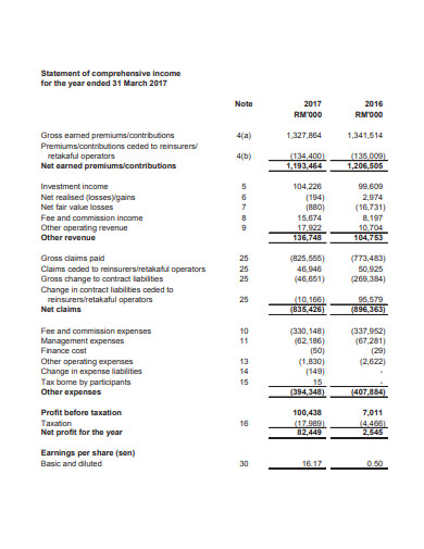 11+ Statement of Comprehensive Income Templates in PDF | XLS | DOC