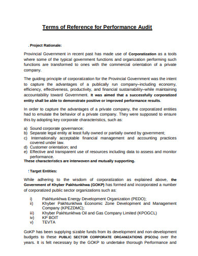 11+ Performance Audit Templates in PDF | DOC